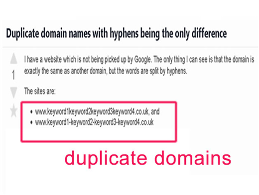 Google alert on duplicate domain| SEO Company| duplicate domain Seo